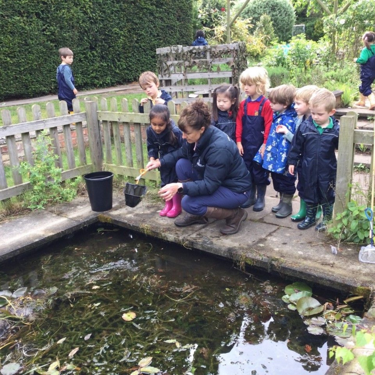Warwick Preparatory School - Frogs At Forest School