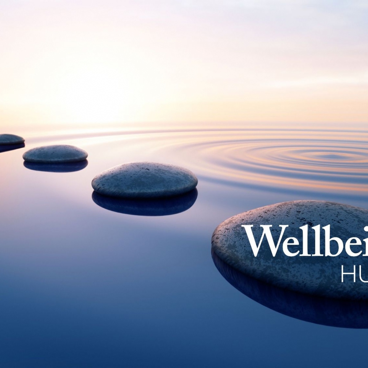 Warwick Preparatory School - Wellbeing Hub Launch
