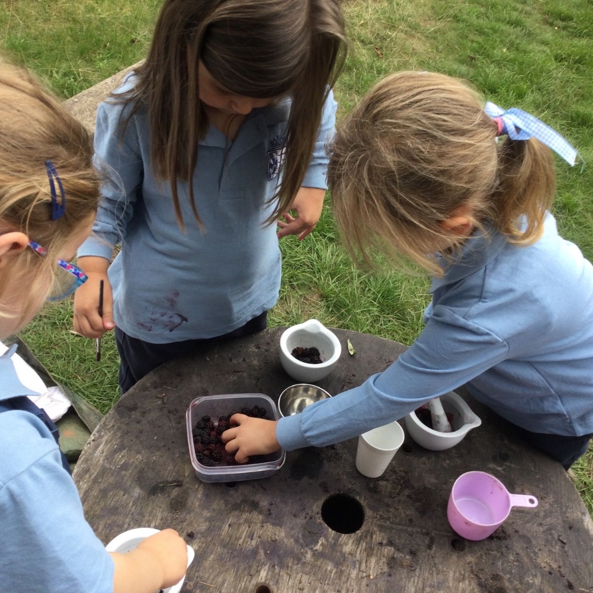 Warwick Preparatory School - Blackberry Painting At Forest School