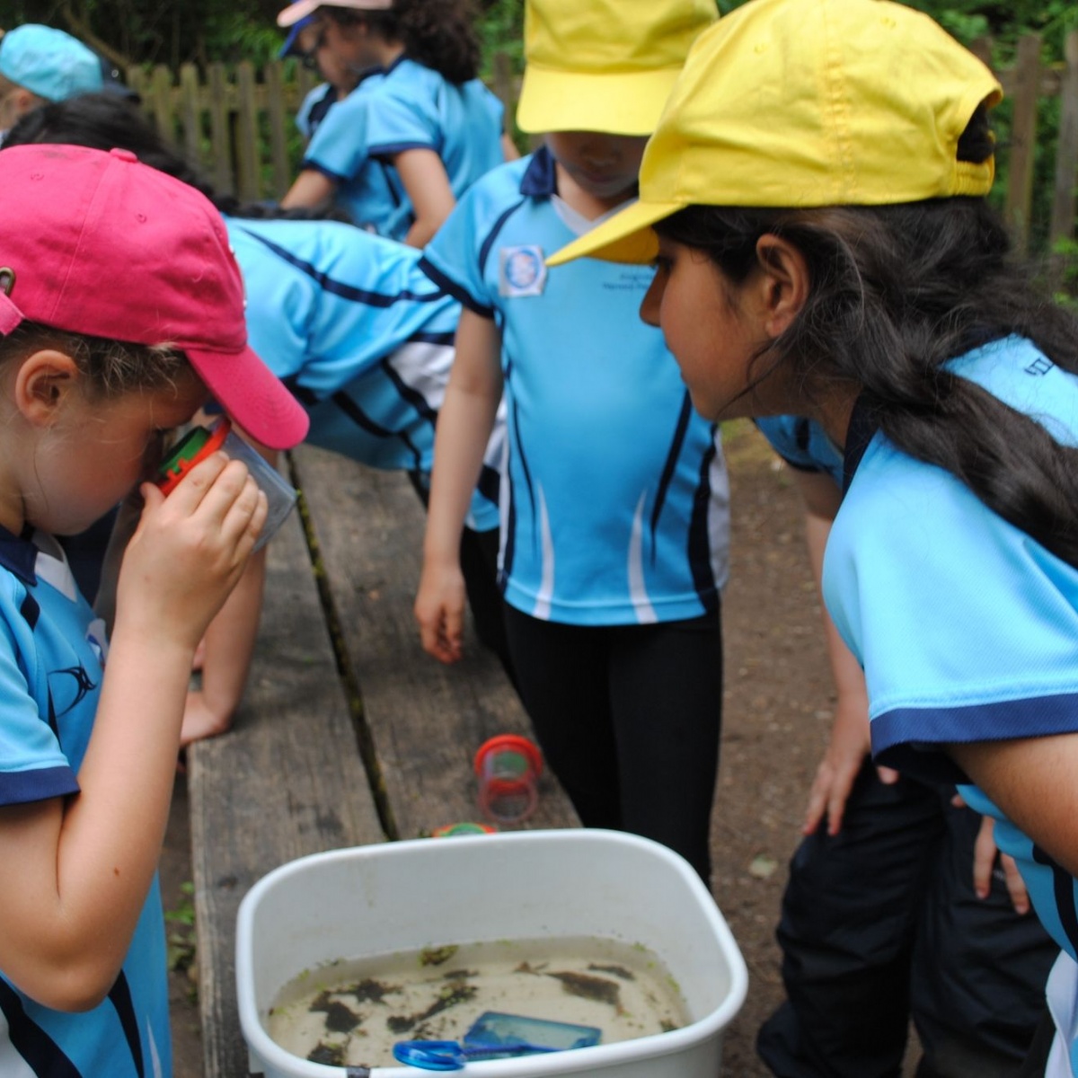 Warwick Preparatory School - Year 4 Visit Ryton Pools