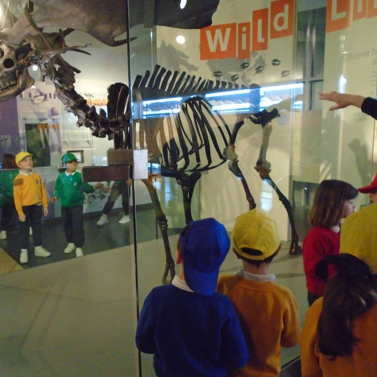 Warwick Preparatory School - Year 1 Explore Science Wonders at Thinktank