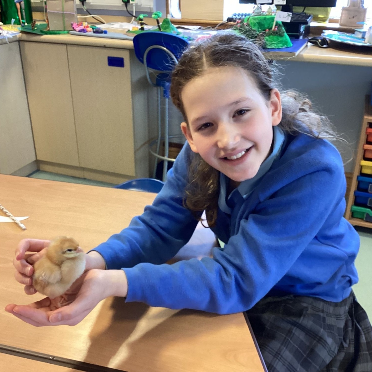 Warwick Preparatory School - Feathered Friends