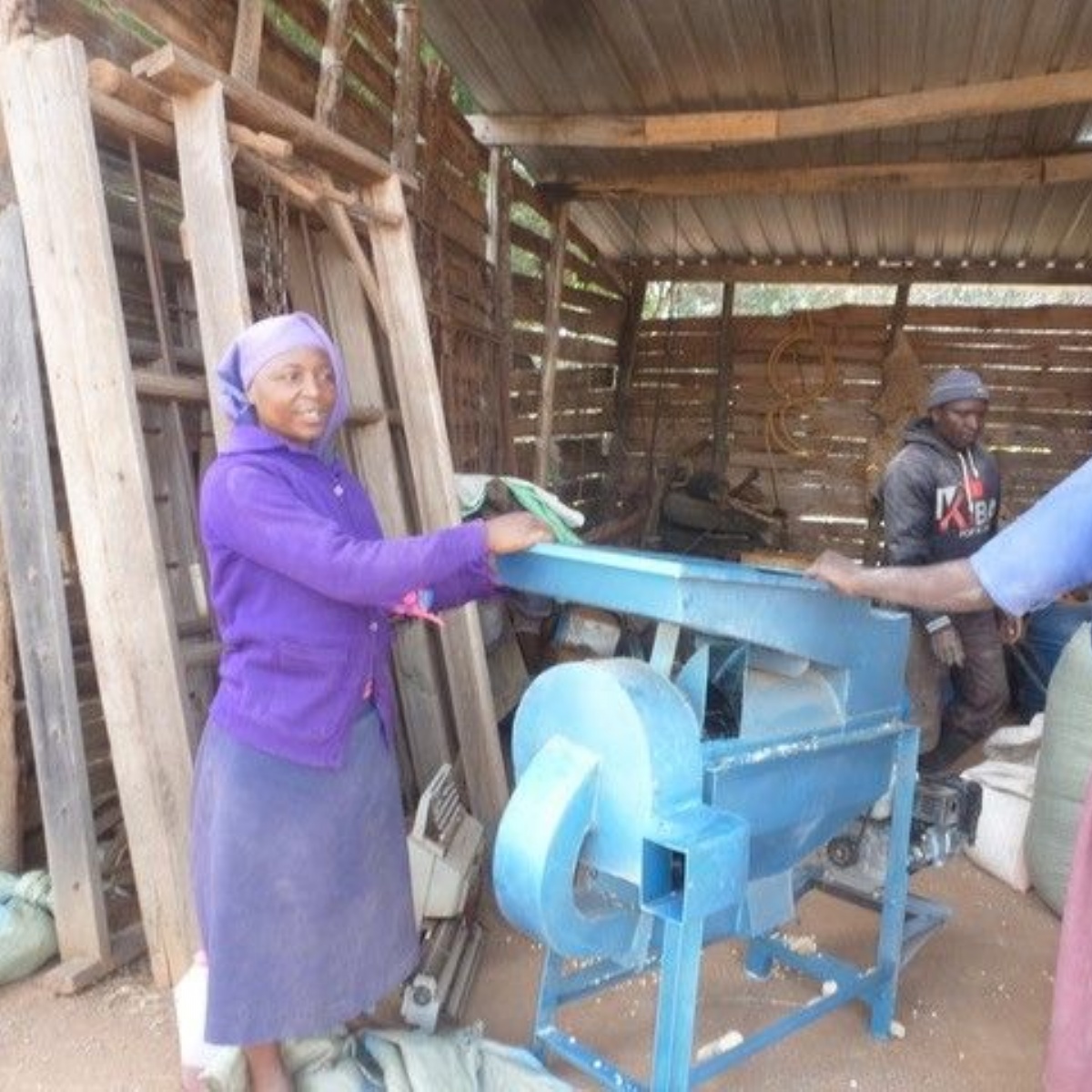 Warwick Preparatory School - Threshing Machine in Action!