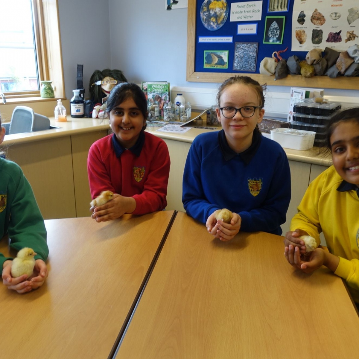 Warwick Preparatory School - Chick Cam