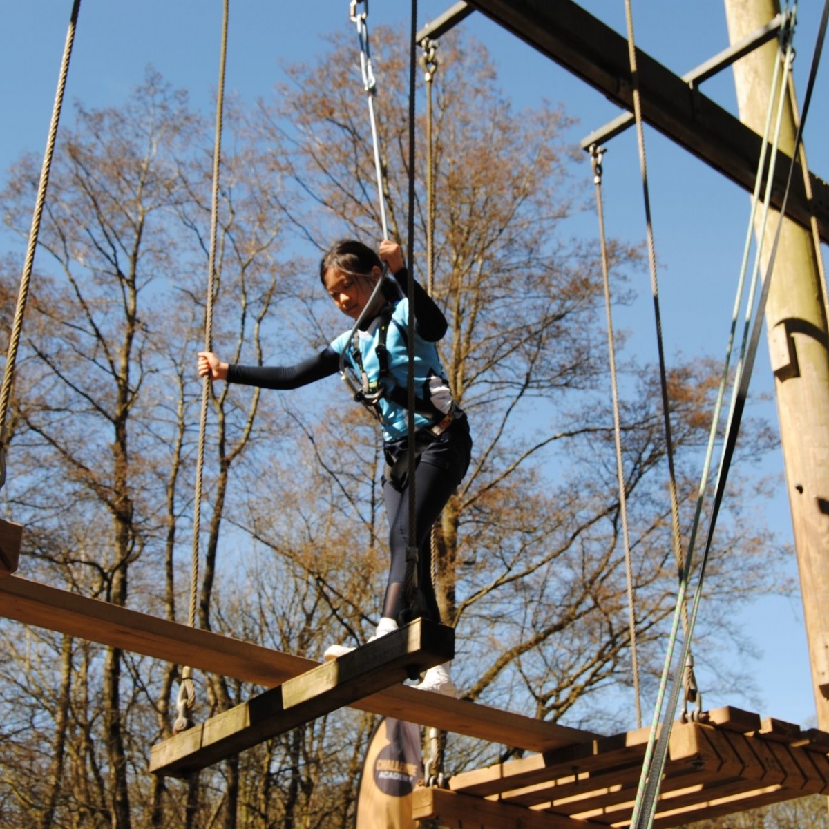 Warwick Preparatory School - Year 6 Reach New Heights