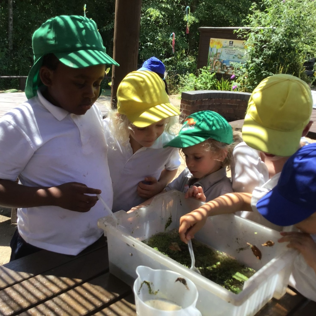 Warwick Preparatory School - Year 1 Explore Brandon Marsh